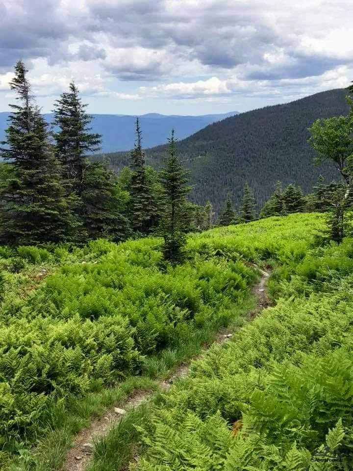 11 Epic Backpacking Trails In Quebec's Stunning Wilderness ...