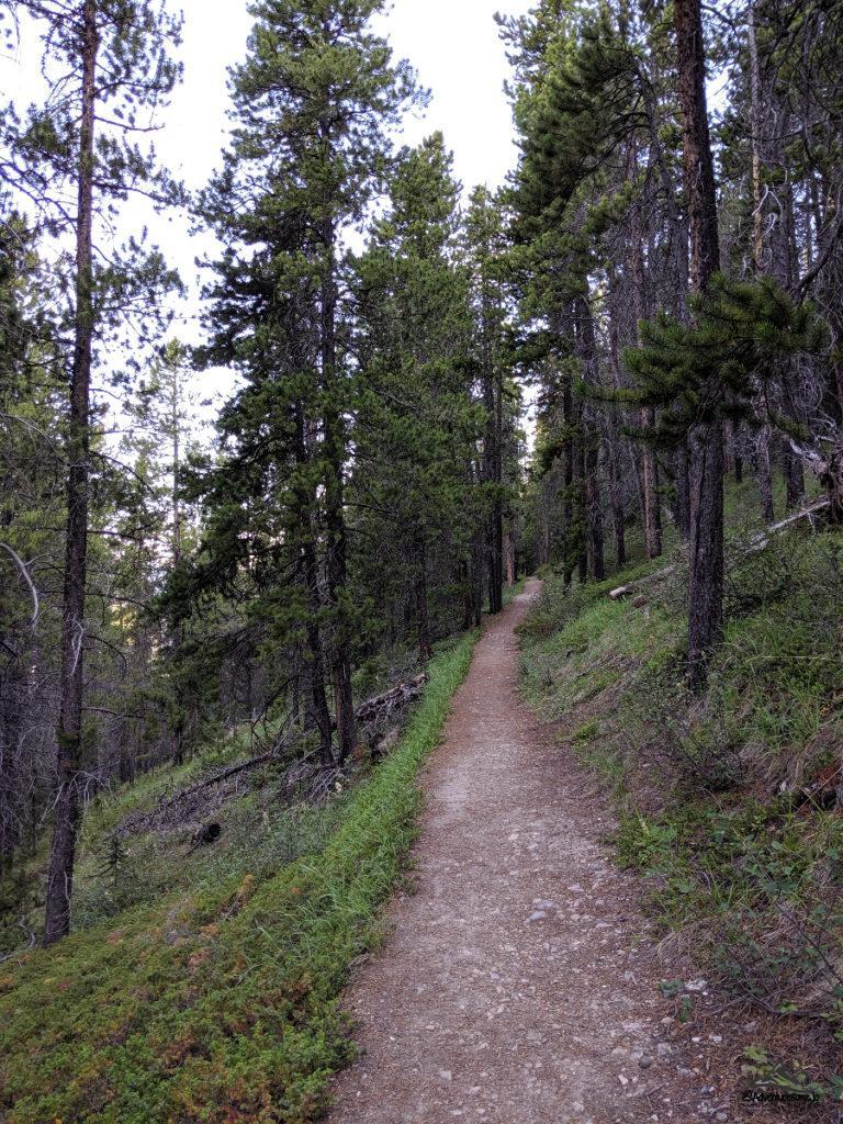 Hiking Guide to Mount Rundle's Summit | Adventuresome Jo