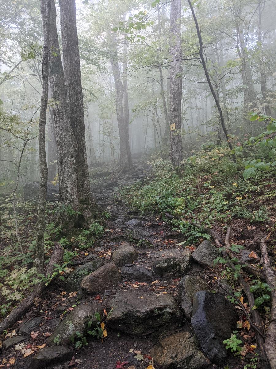 Remarkable Hiking Trails in Sutton | Adventuresome Jo