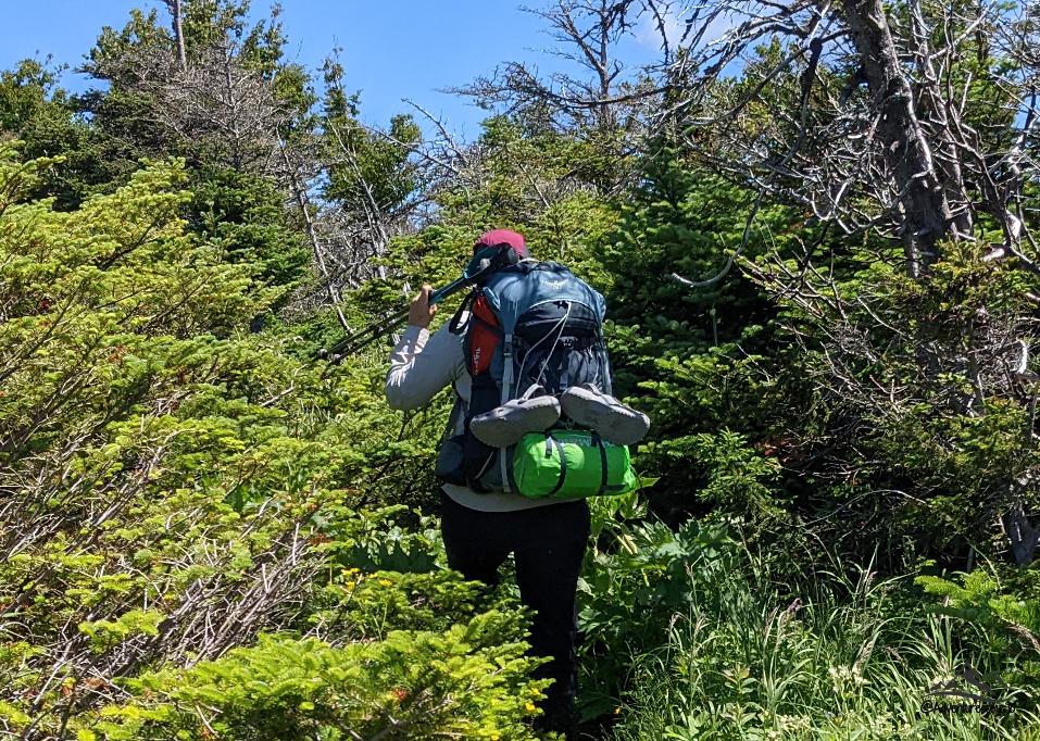 13 Backpacking Tips I Wish I Knew On My First Trip | Adventuresome Jo