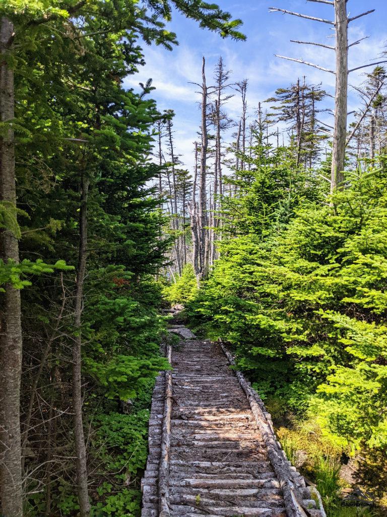 Hiking The East Coast Trail: Spurwink Island Path | Adventuresome Jo