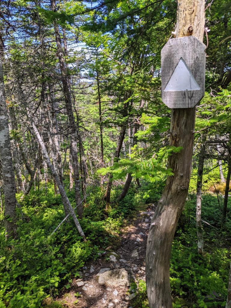 Hiking The East Coast Trail: Spurwink Island Path | Adventuresome Jo