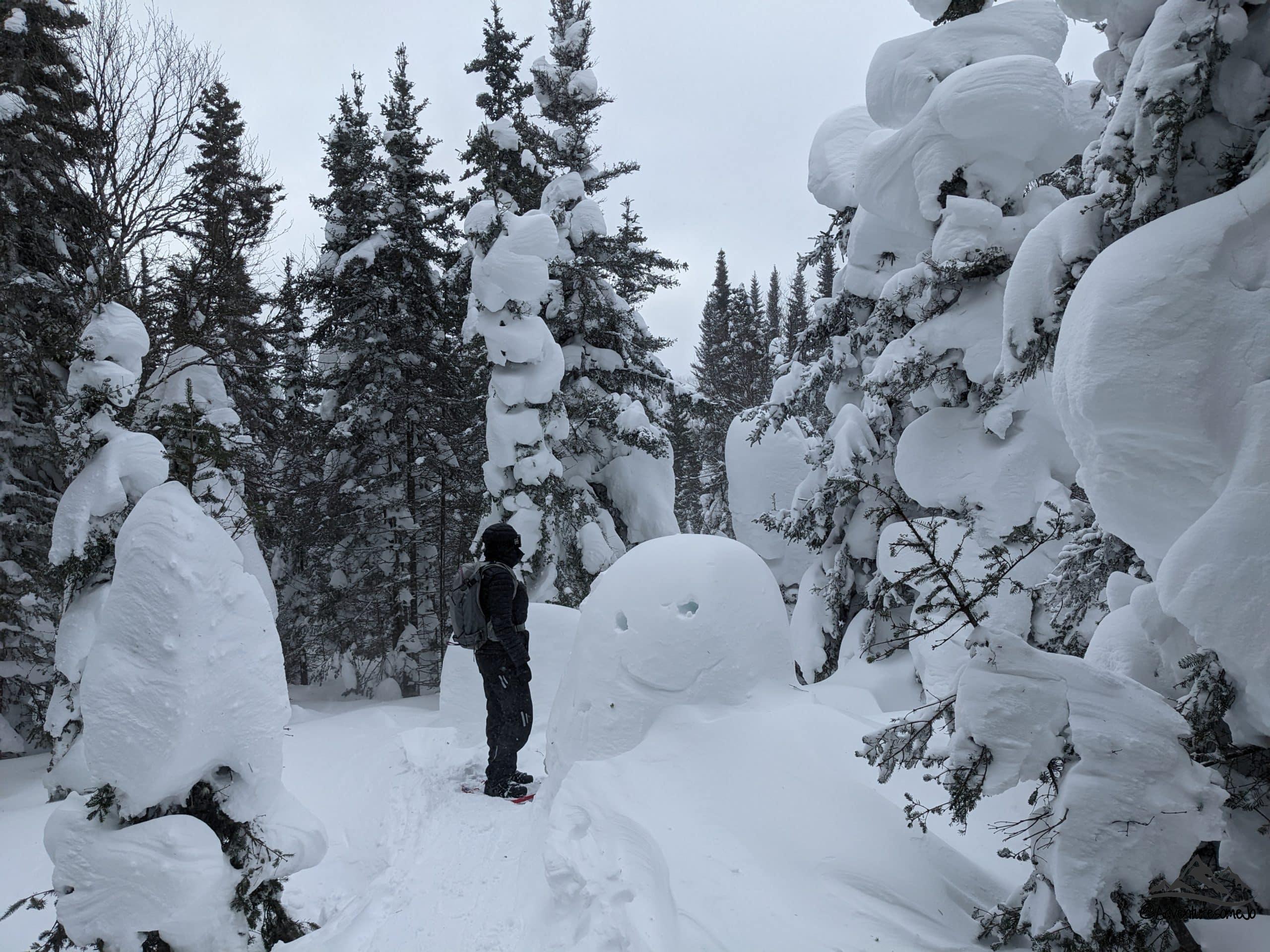 20 Winter Hiking Tips To Enjoy The Trails This Winter