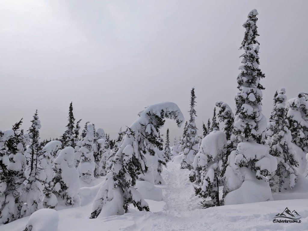 7 Outstanding Winter Hikes In Gaspesie