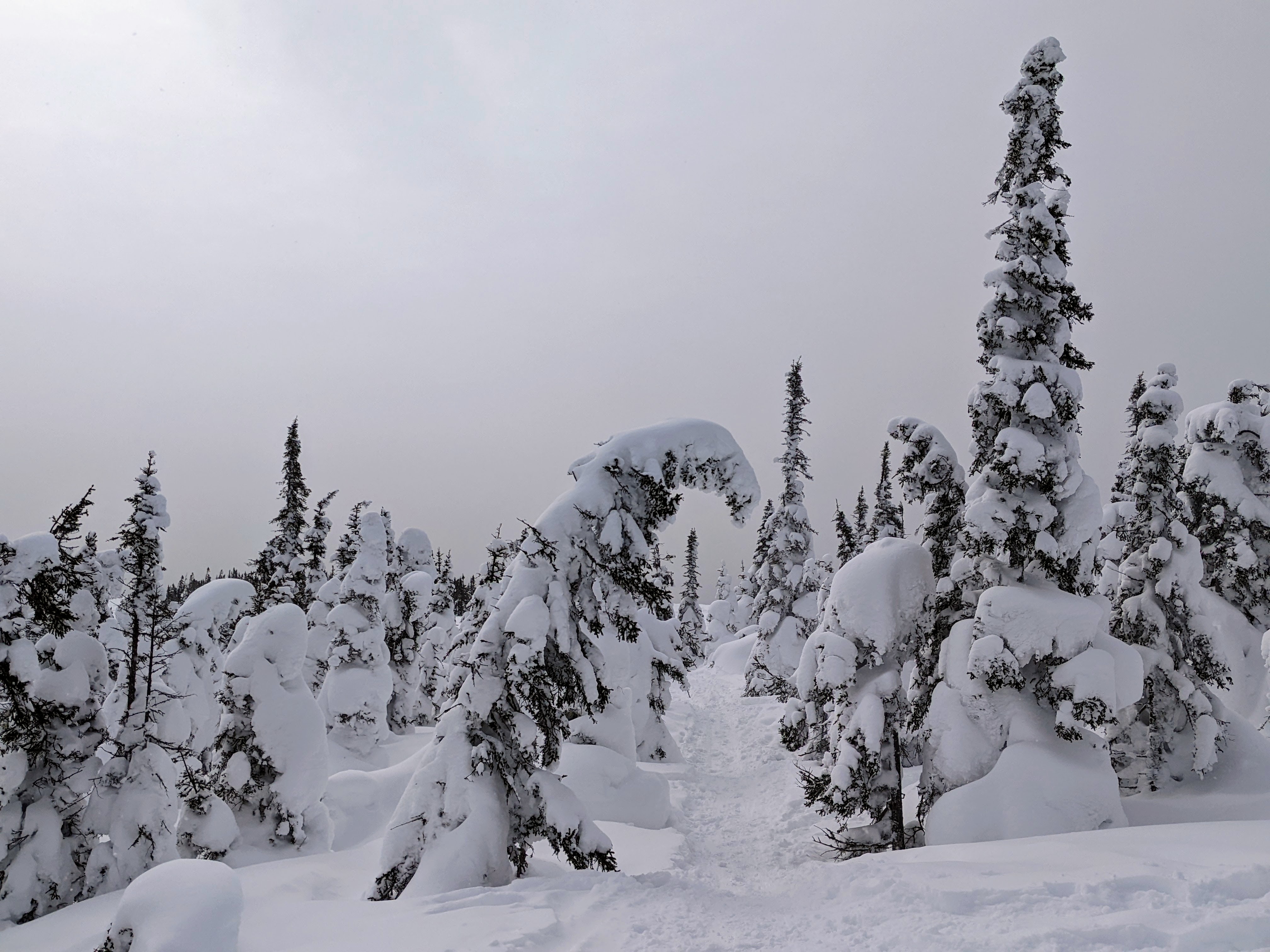 7 Outstanding Winter Hikes in Gaspesie | Adventuresome Jo