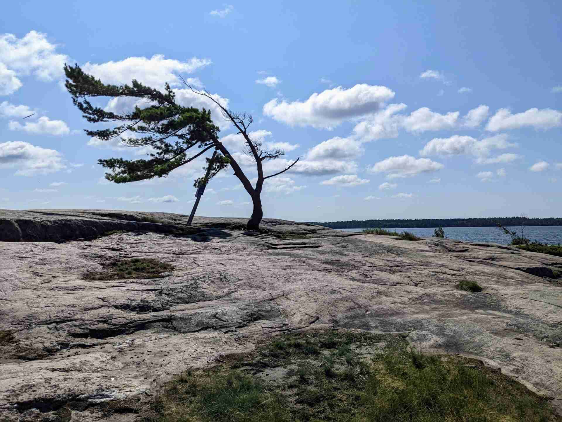 Camping and Exploring Killbear Provincial Park | Adventuresome Jo