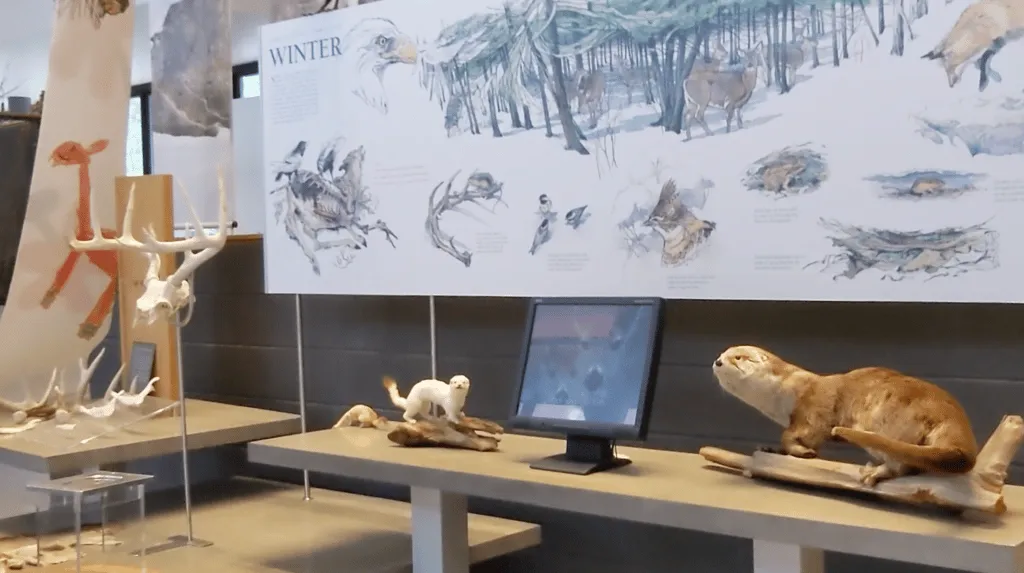 Camping And Exploring Killbear Provincial Park | Adventuresome Jo