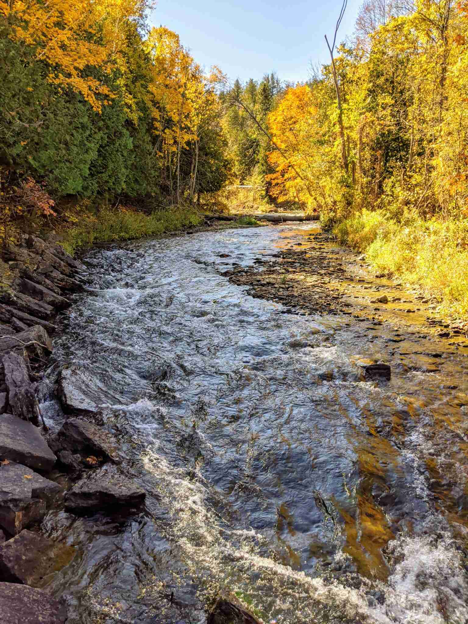 Hiking Cup and Saucer and Other Trails on Manitoulin Island