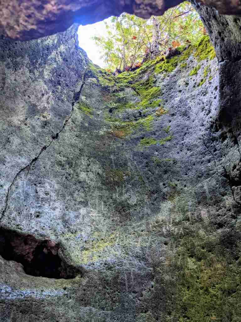 Hike Lion’s Head Trail To A Stunning Lookout | Adventuresome Jo