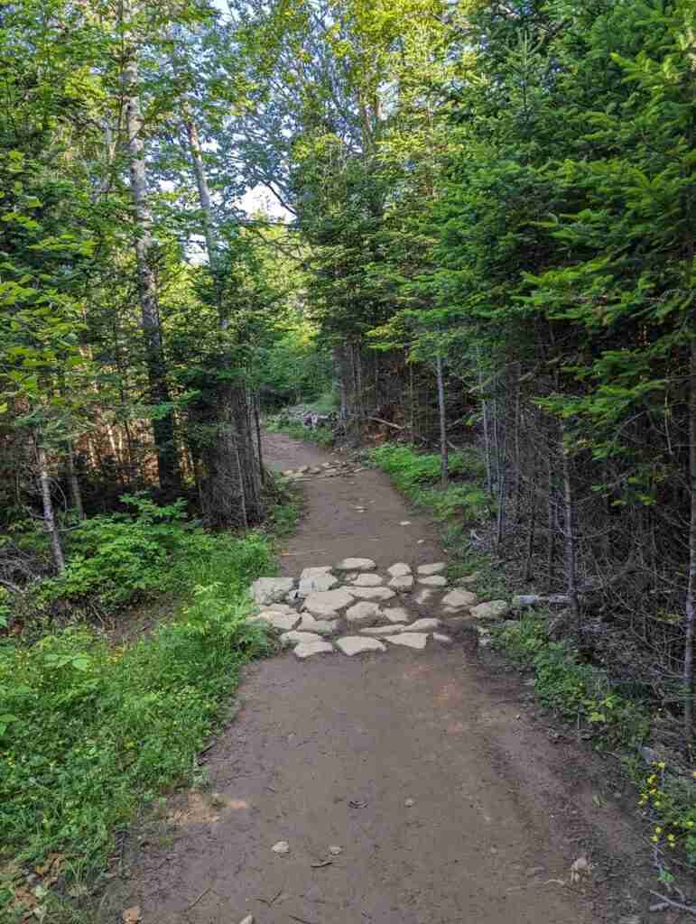 Cape Split Hike To Astounding Views | Adventuresome Jo