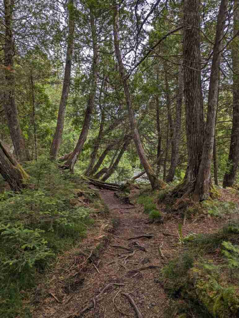 Quebec's Mount Albert Summit Loop