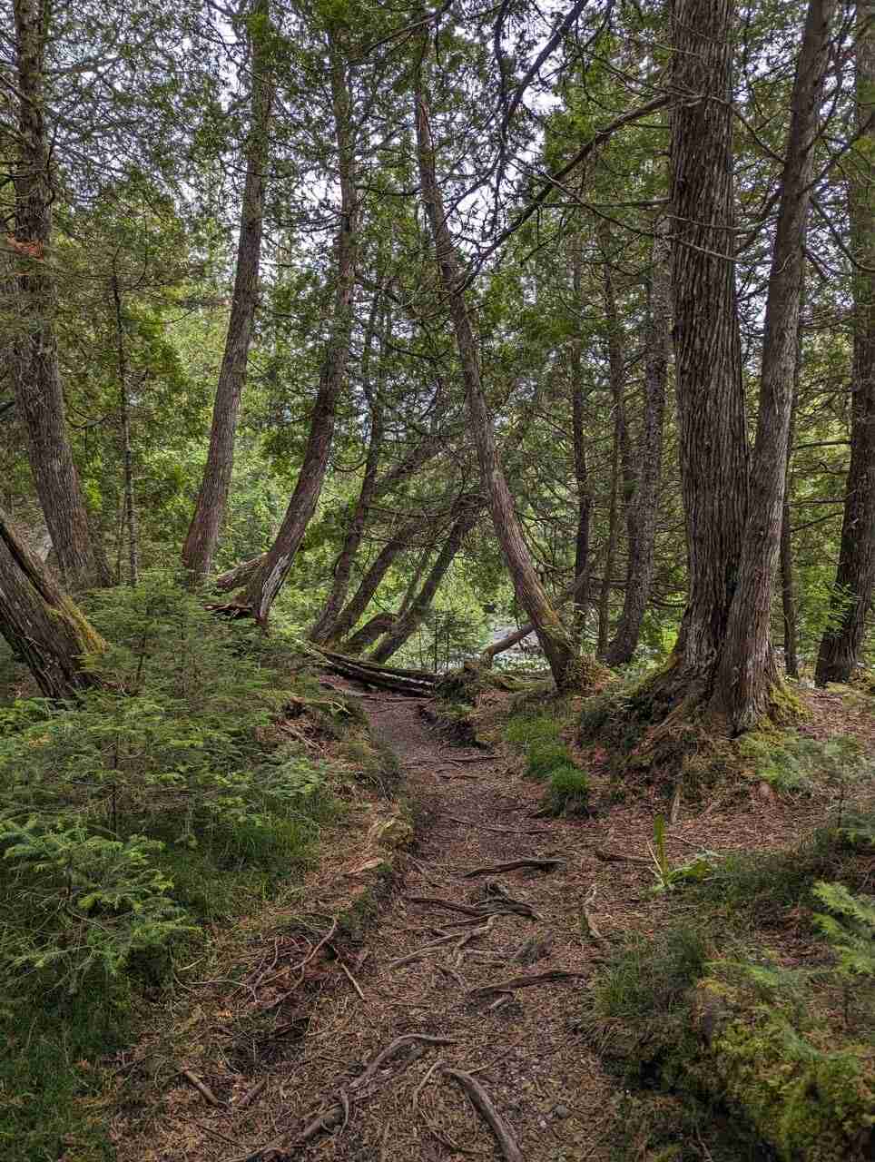Le Tour du mont Albert | Adventuresome Jo