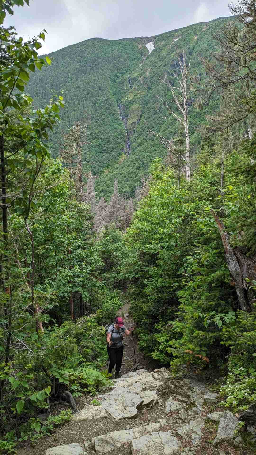 Quebec's Mount Albert Summit Loop