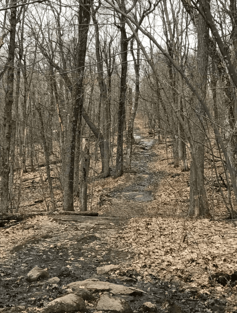 13 Best Hiking Trails In Gatineau Park | Adventuresome Jo