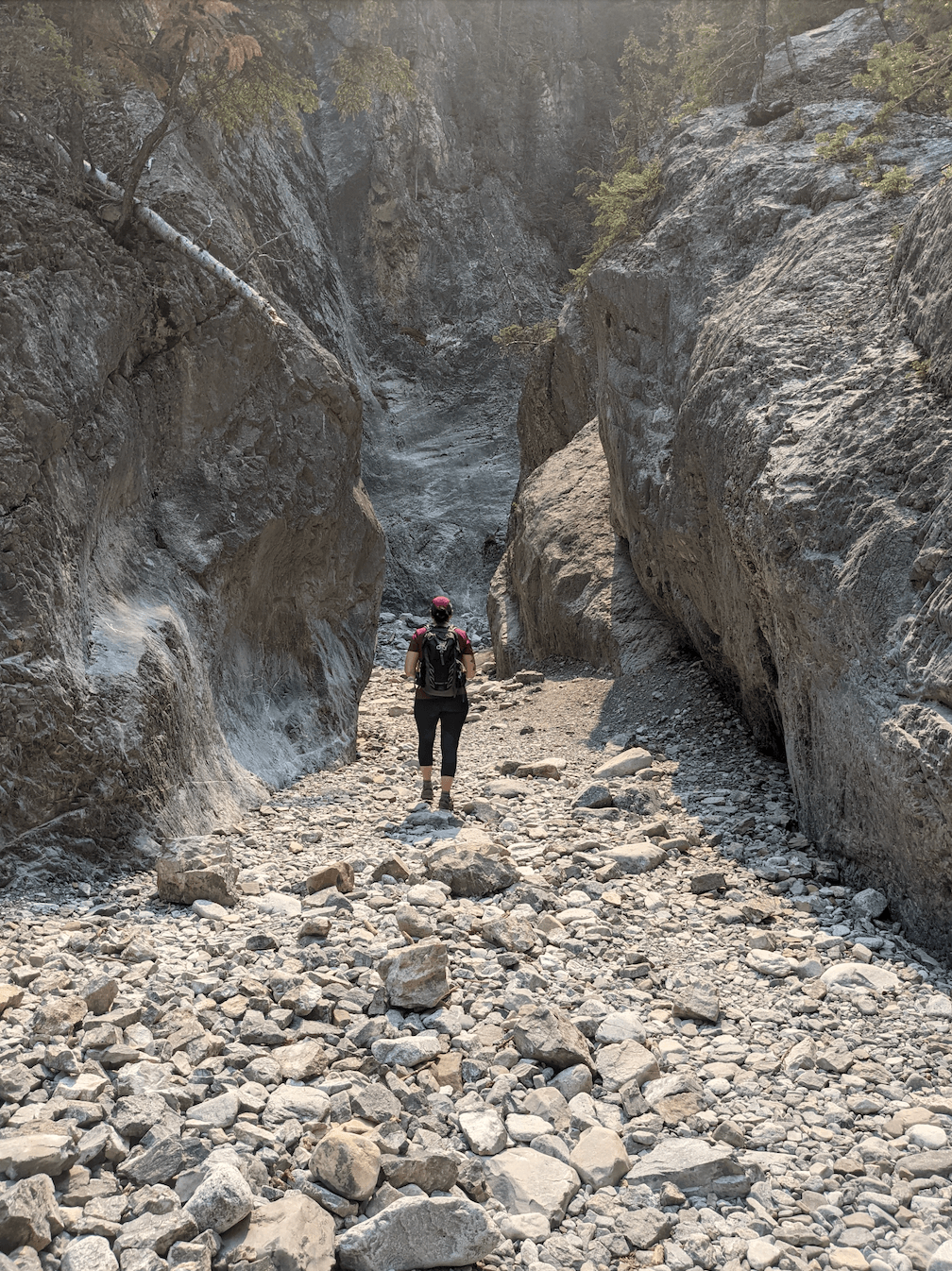 Explore The Wonders Of Grotto Canyon Hike