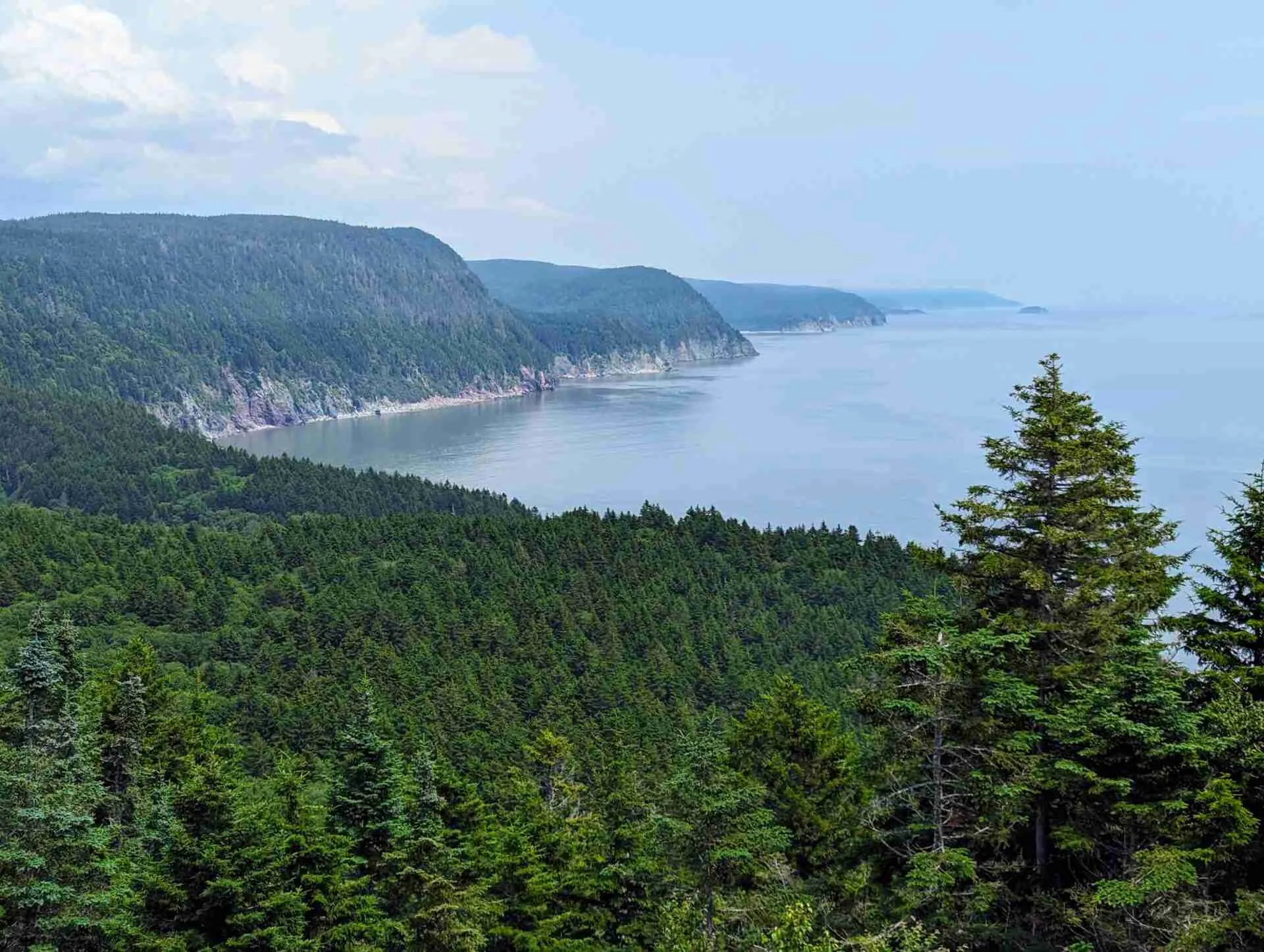 Fundy Trail Parkway Map And Attractions: A Complete Guide