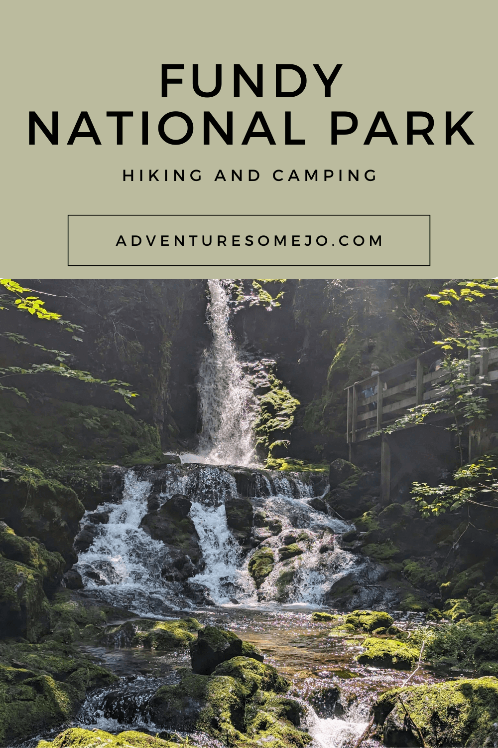 Guide To Camping And The Best Fundy National Park Hikes
