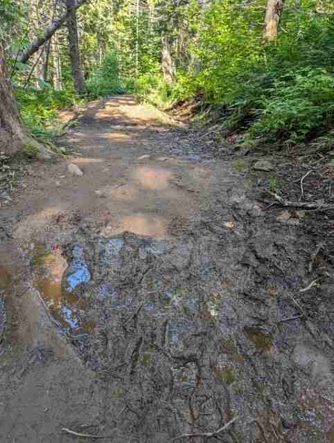 Trail Etiquette: 9 Essential Rules For A Respectful And Safe Hike